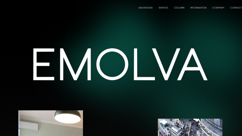 SNS運用代行おすすめ15選を紹介！比較するときのポイントも解説│EMOLVA