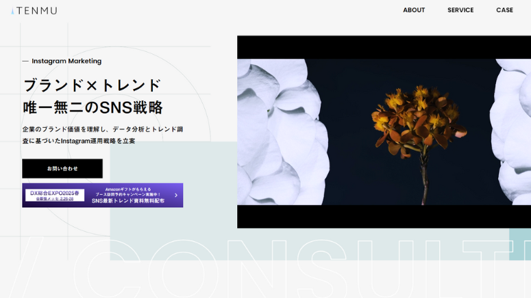 SNS運用代行おすすめ15選を紹介！比較するときのポイントも解説│EMOLVA
